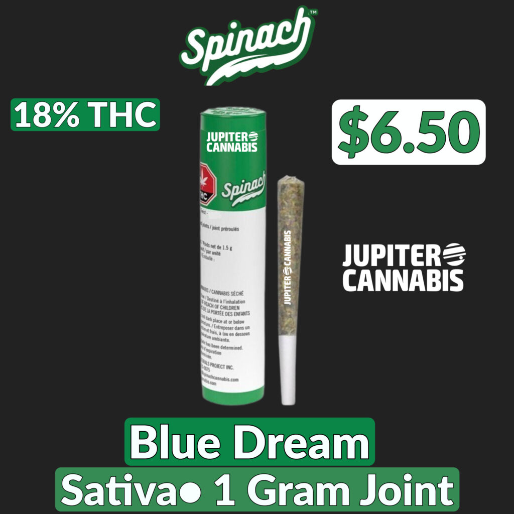 Spinach Blue Dream 1g Joint | Jupiter Cannabis Winnipeg