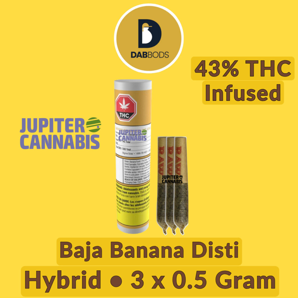 Dab Bods Baja Banana Disti Joints Hybrid 3 Pack | Jupiter Cannabis Winnipeg