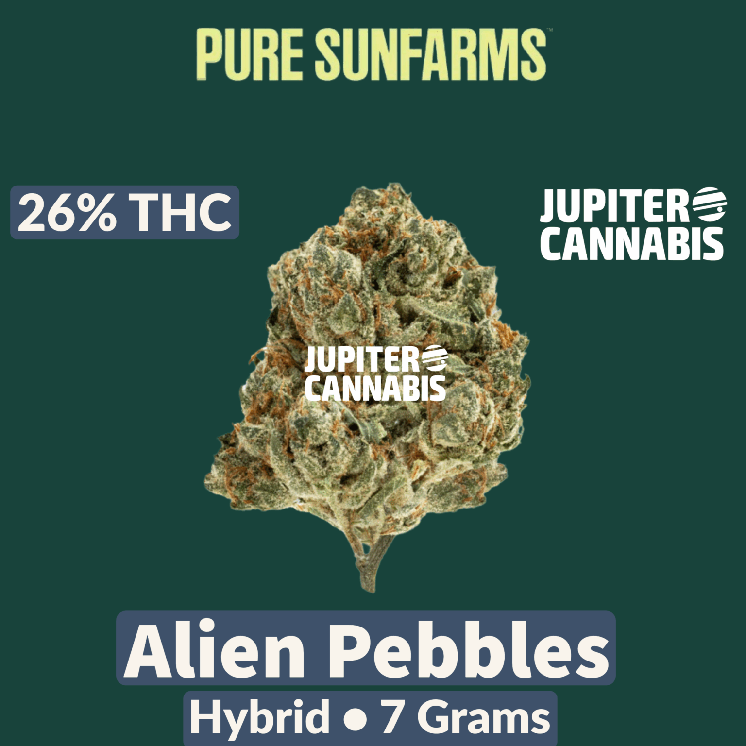 Pure Sunfarms Alien Pebbles 7g | Jupiter Cannabis Winnipeg