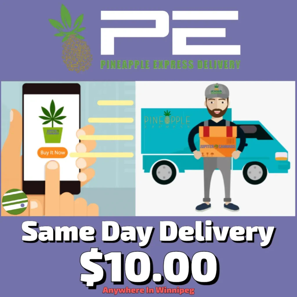 SHOP IN STORE | Jupiter Cannabis Winnipeg