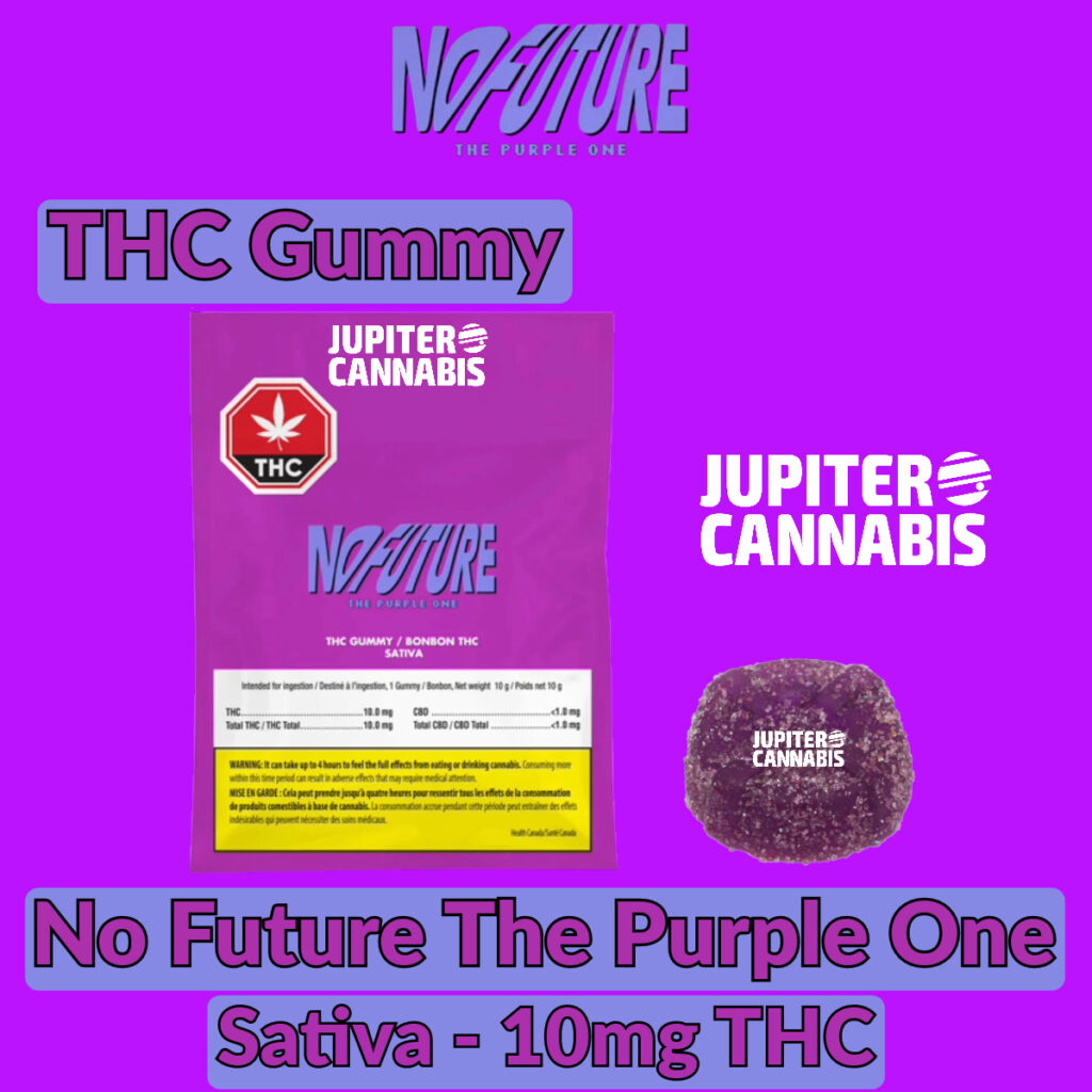 No Future The Purple One Sativa | Jupiter Cannabis Winnipeg