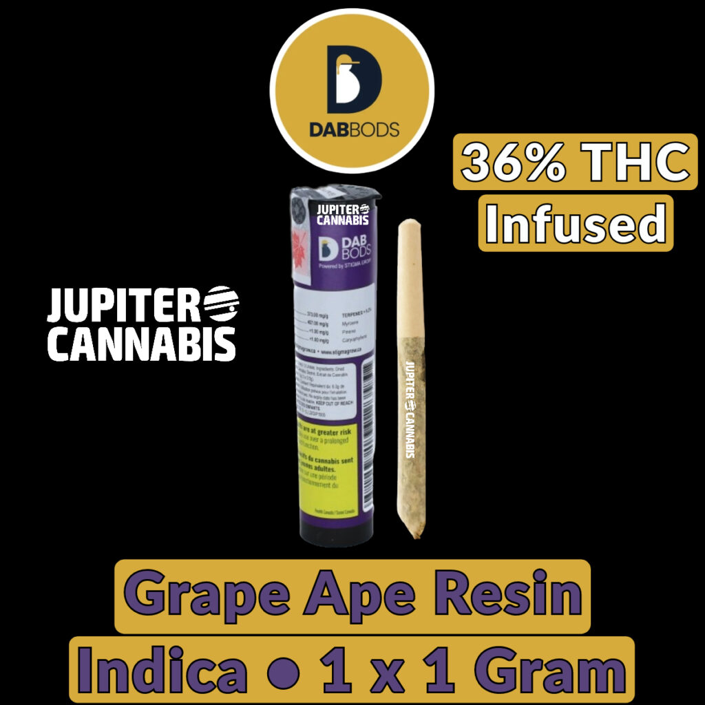 Dab Bods Grape Ape Resin Infused Joint | Jupiter Cannabis Winnipeg